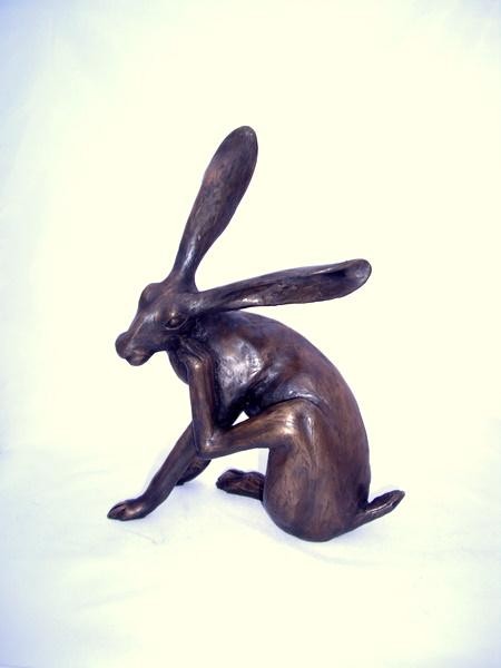 Scratching Hare - White Sails Gallery