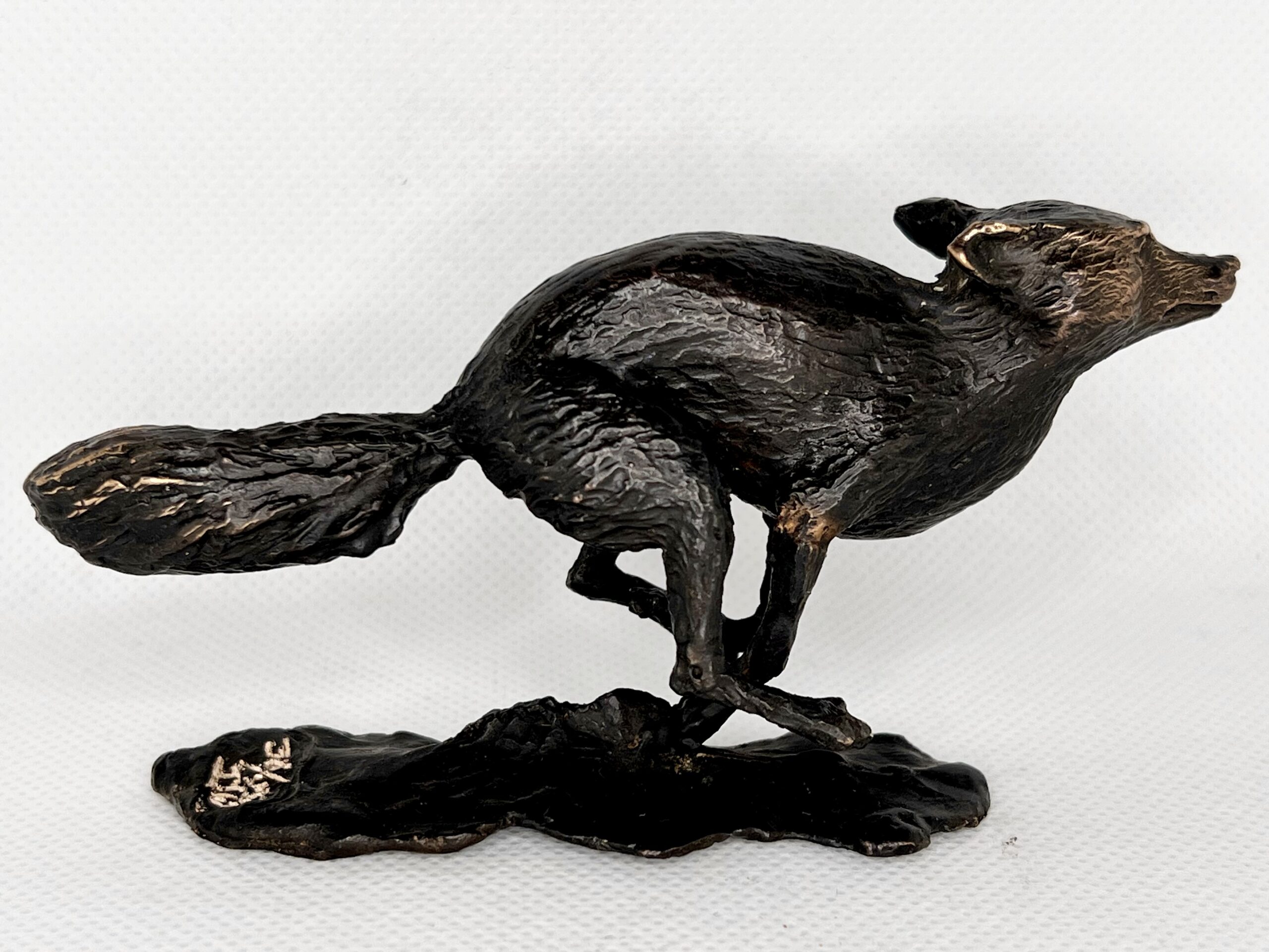 Fox Sprinting - White Sails Gallery